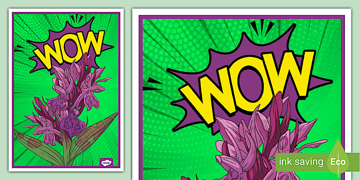 Orchid Pop Art Display Poster (Teacher-Made) - Twinkl