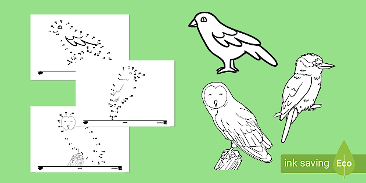 Dot to Dot Bird Pictures Activity Pack (teacher made)