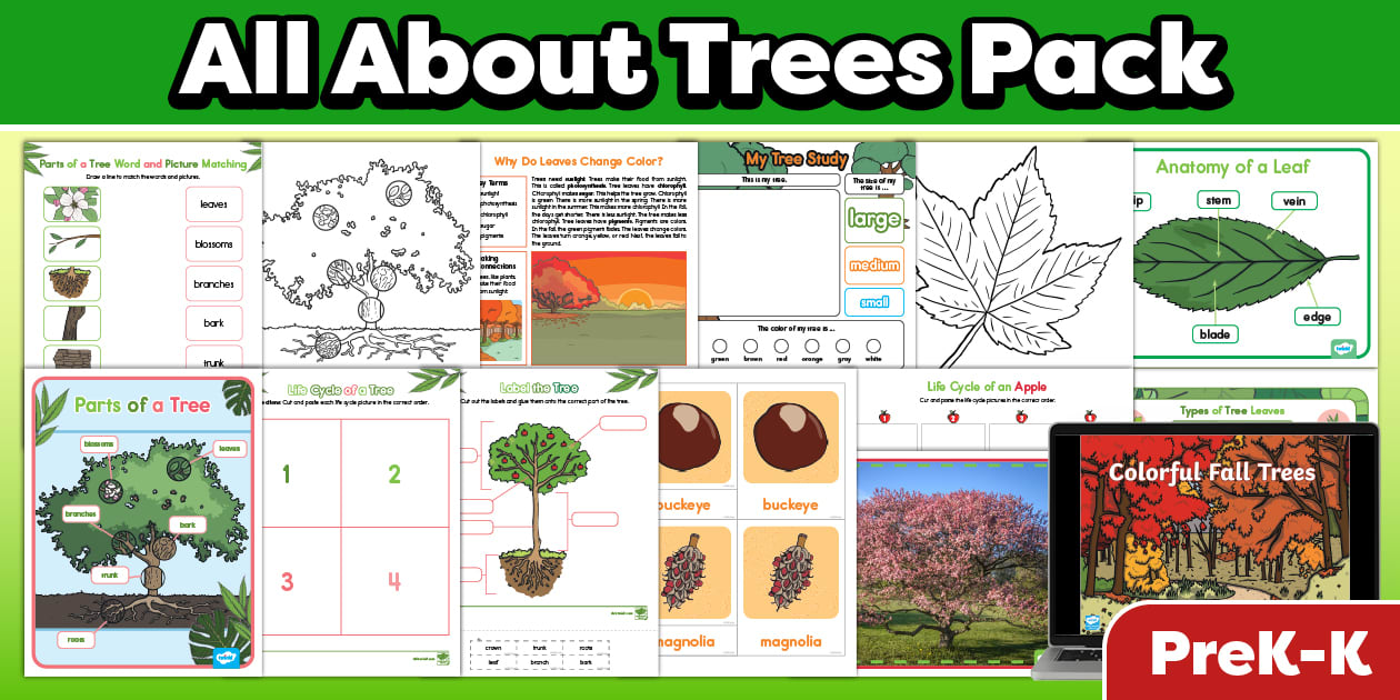 All About Trees Pack for PreK-K