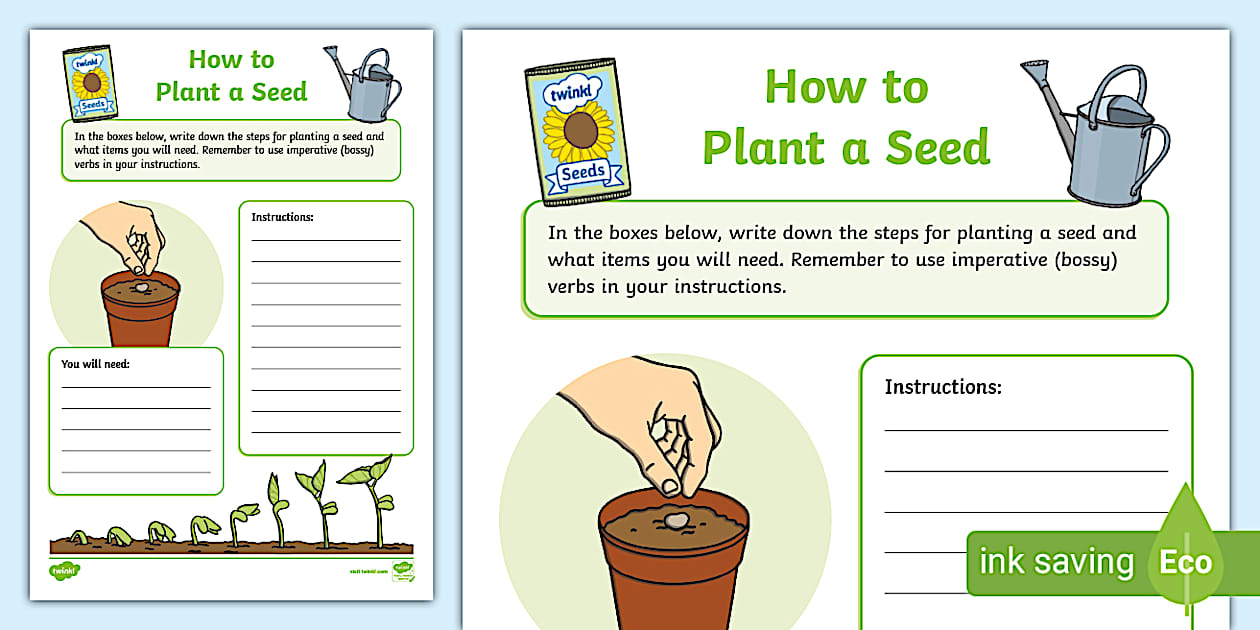 Planting a Seed Instructions Template, Planting Seeds
