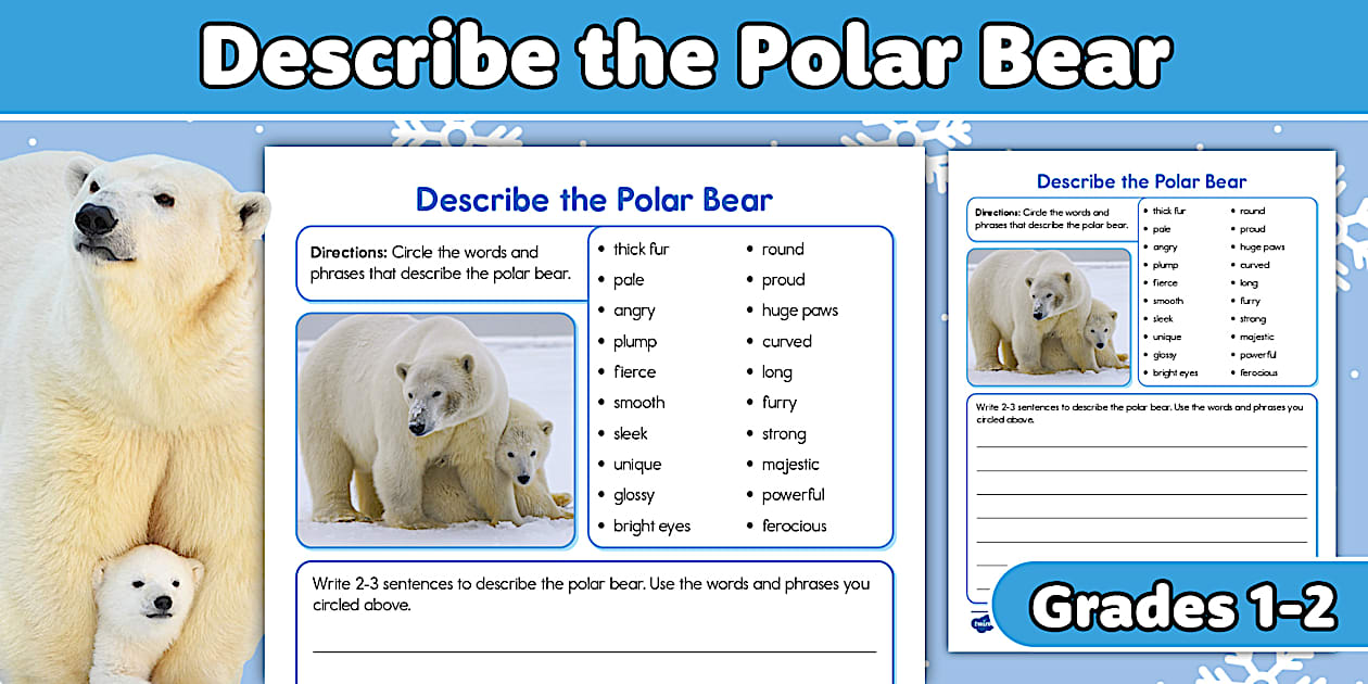 Polar Bear Description Worksheet | Animals | Twinkl USA