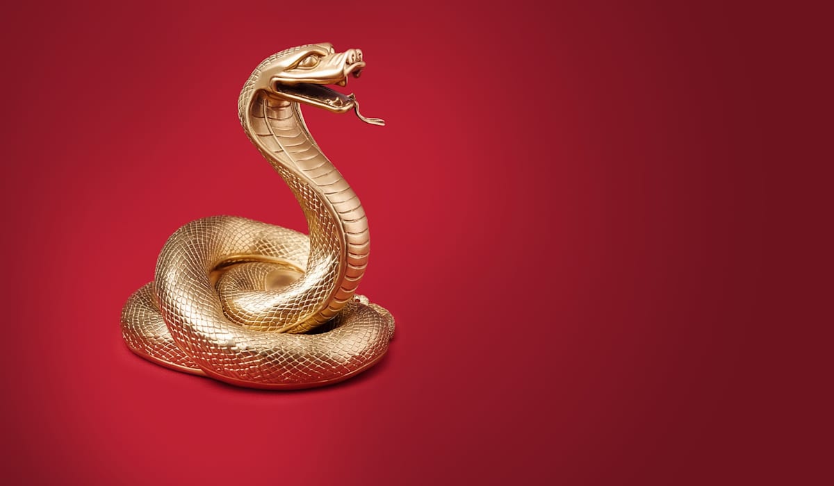Year of the Snake - Twinkl NewsRoom - Twinkl