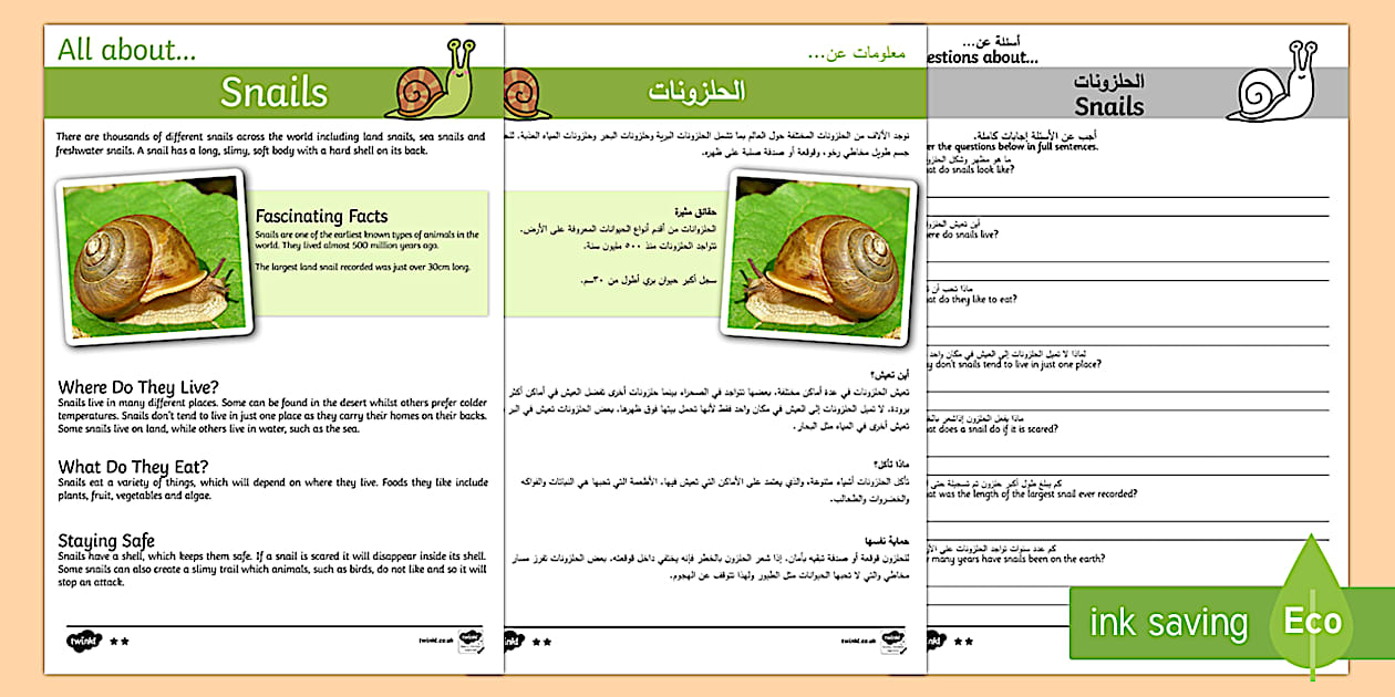 Snail Reading Comprehension Pack Arabic/English - Snail Reading ...