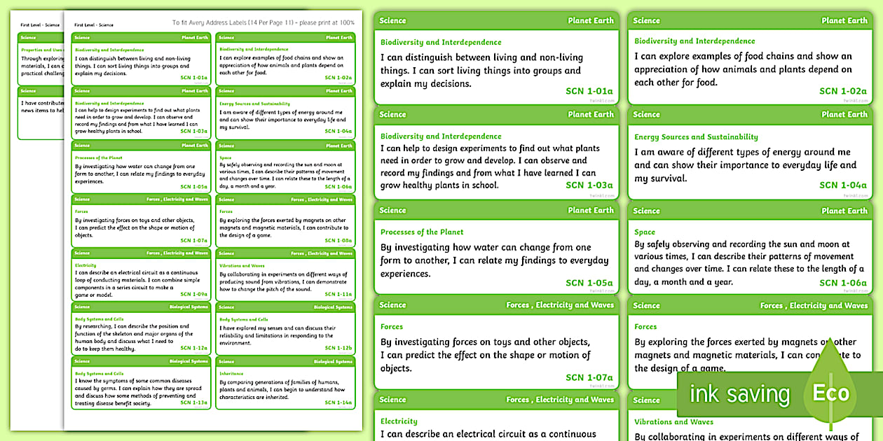 Editable First Level Science Experiences and Outcomes Stickers