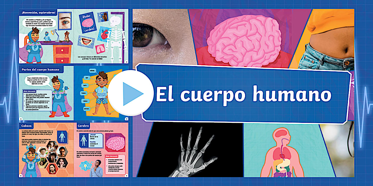 El cuerpo humano (teacher made) - Twinkl