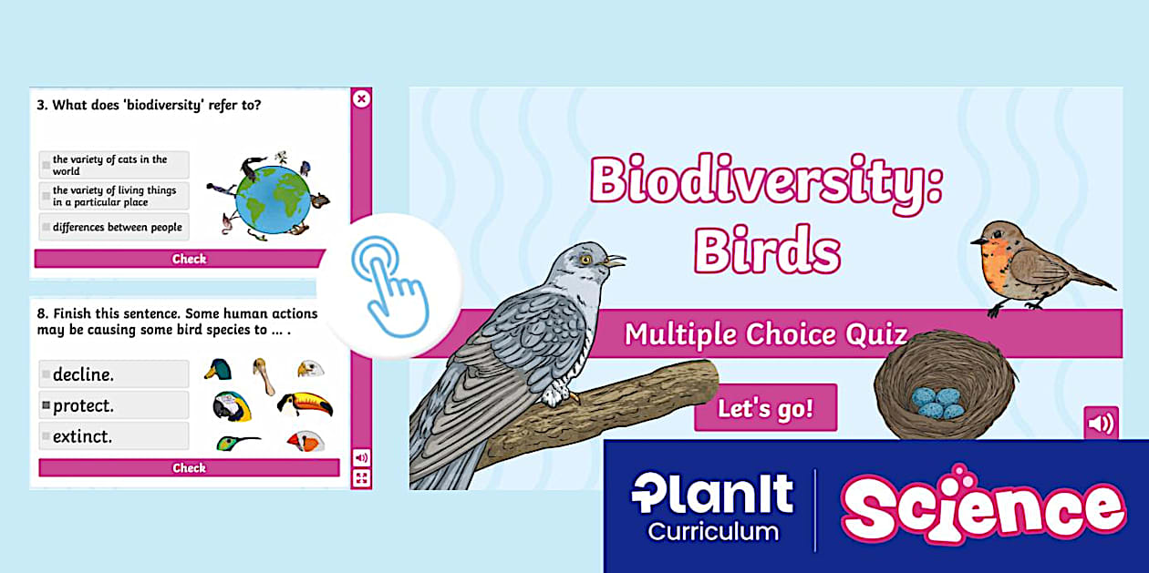 Biodiversity: Birds: Y3 Interactive Knowledge Organiser Quiz