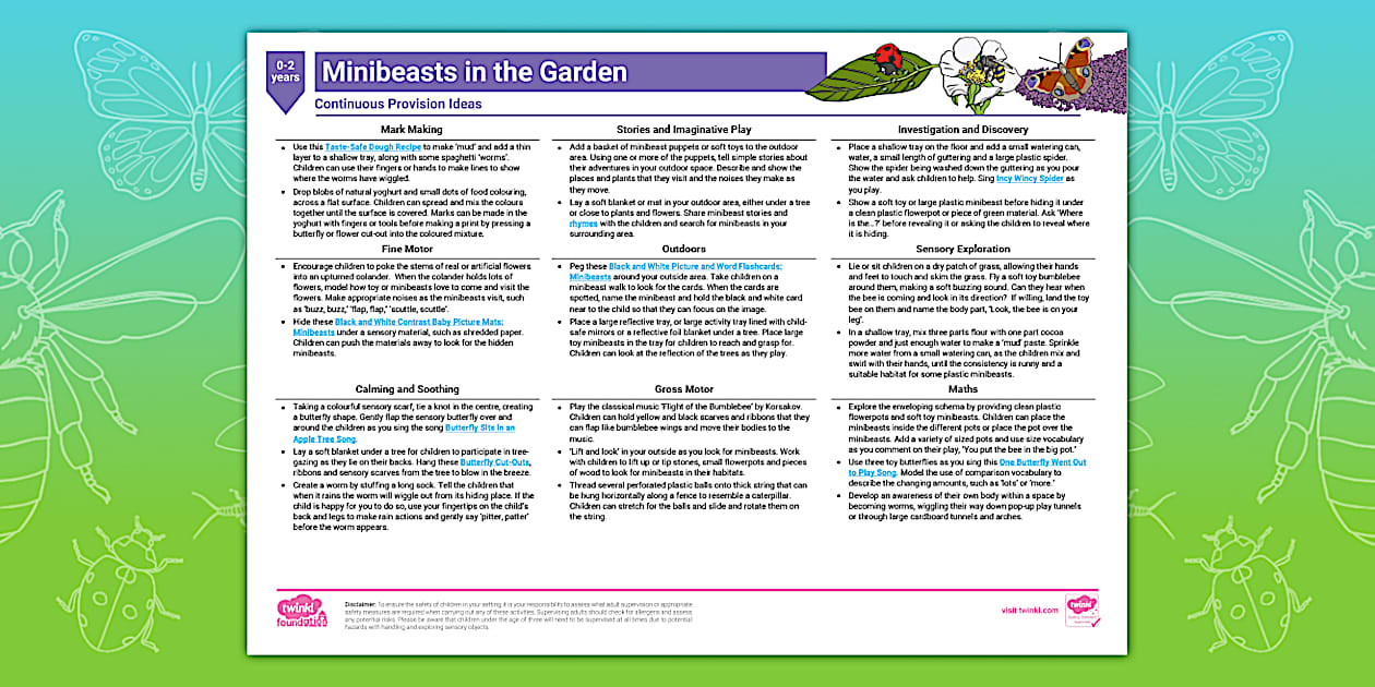 EYFS Minibeasts Continuous Provision Planning (Ages 0-2)