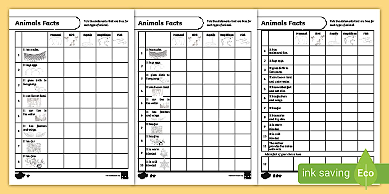 Classifications of Animals | Worksheet | Species | Twinkl
