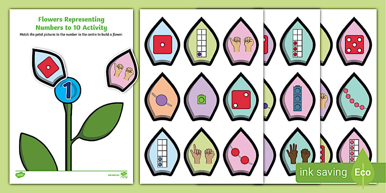 Flowers Representing Numbers to 10 Activity (teacher made)