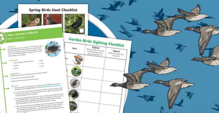 World Migratory Bird Day - Event Information & Resources