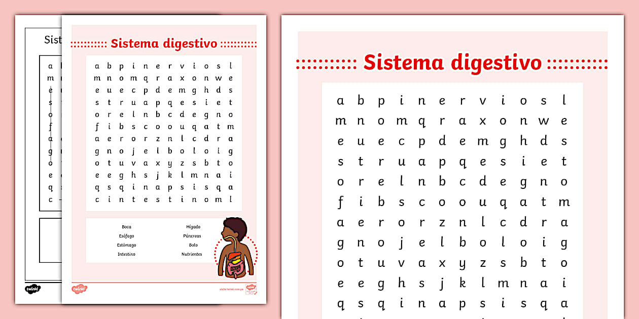 Sopa de letras del sistema digestivo | Twinkl