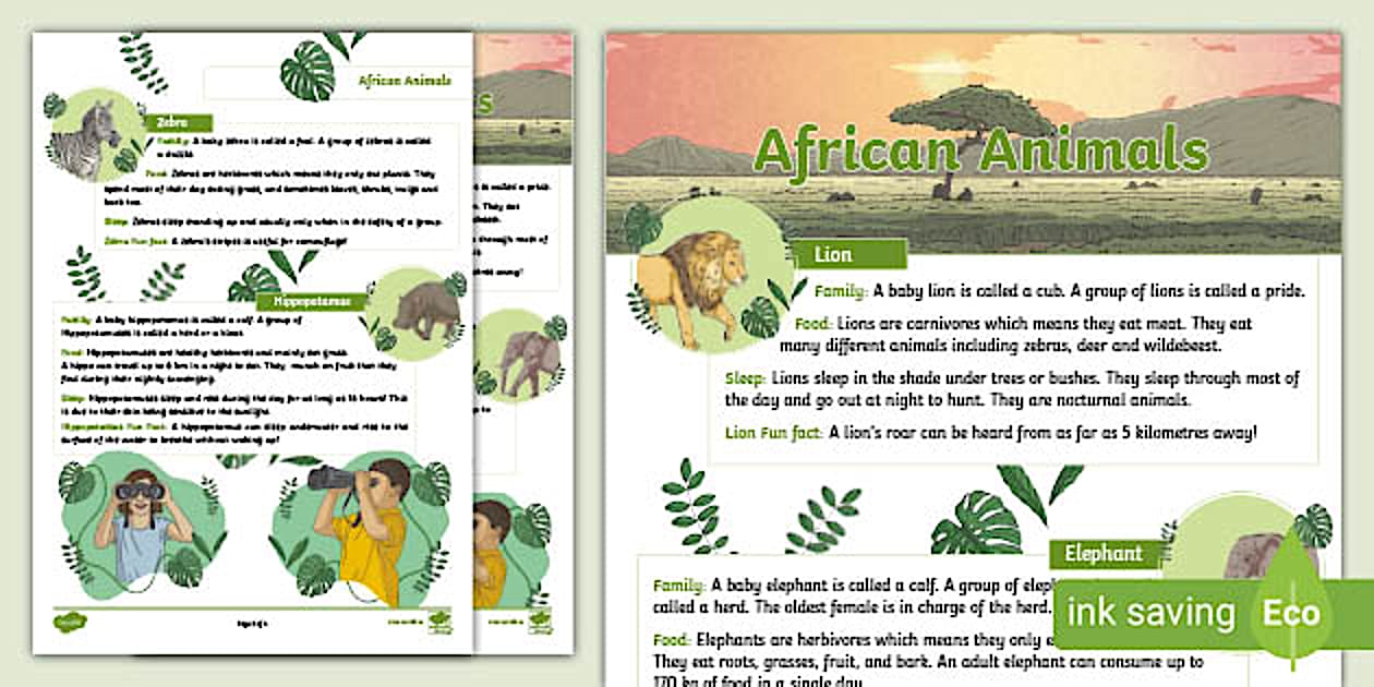 African Animals Fact File (teacher made) - Twinkl