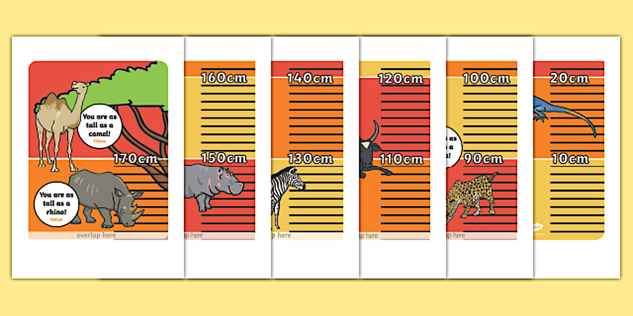 Safari Animal Height Chart Display Poster (teacher made)