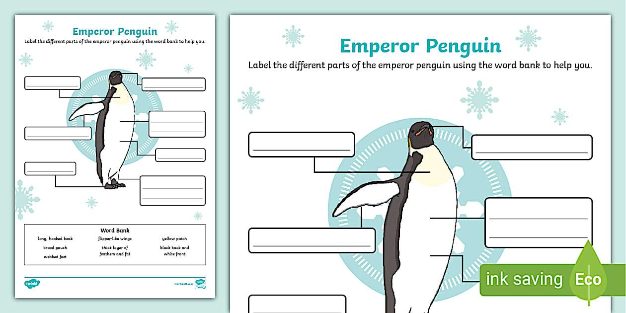 Label an Emperor Penguin Activity Sheet (teacher made)