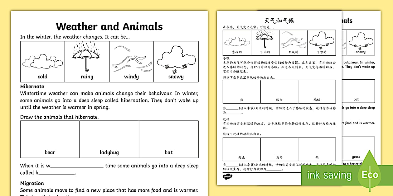 Weather and Animals Worksheet English/Mandarin Chinese