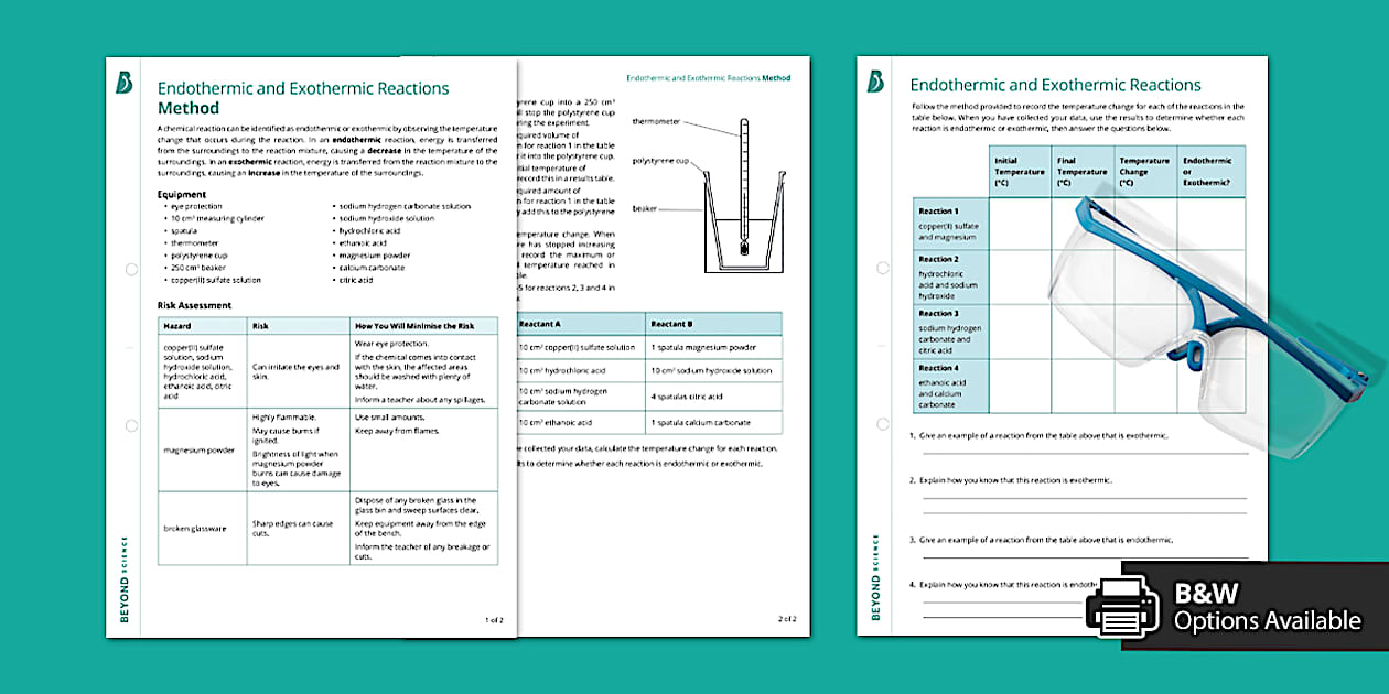 Endothermic or Exothermic Investigation Instructions | Beyond