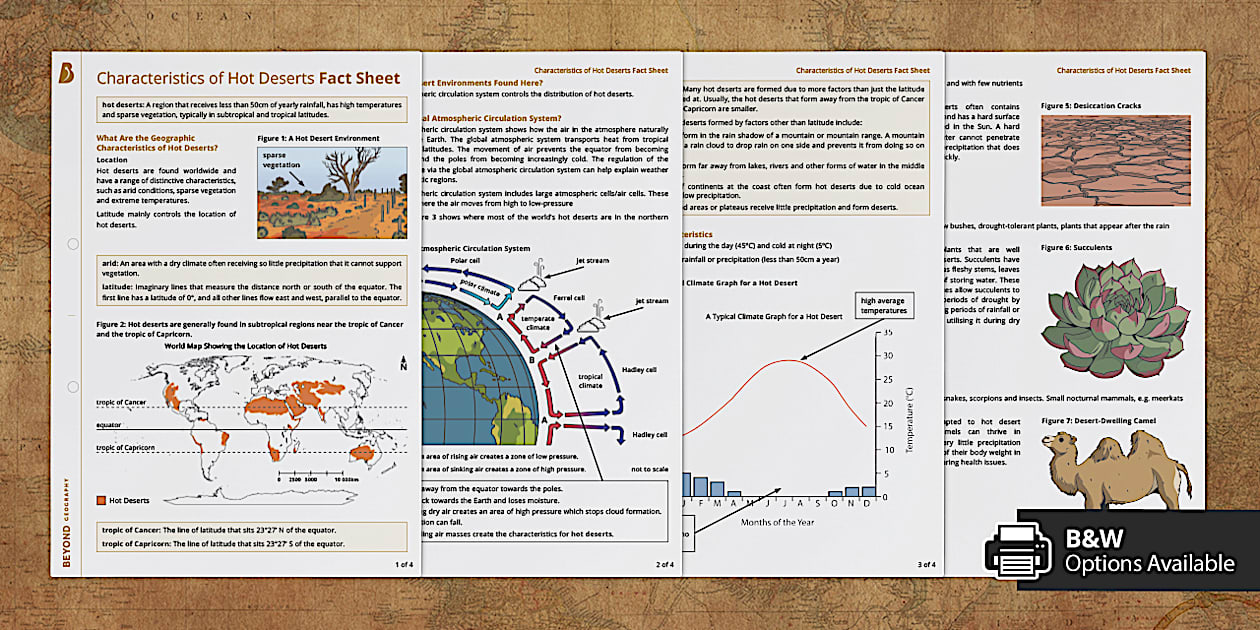 AQA Characteristics of Hot Deserts Fact Sheet (Teacher-Made)