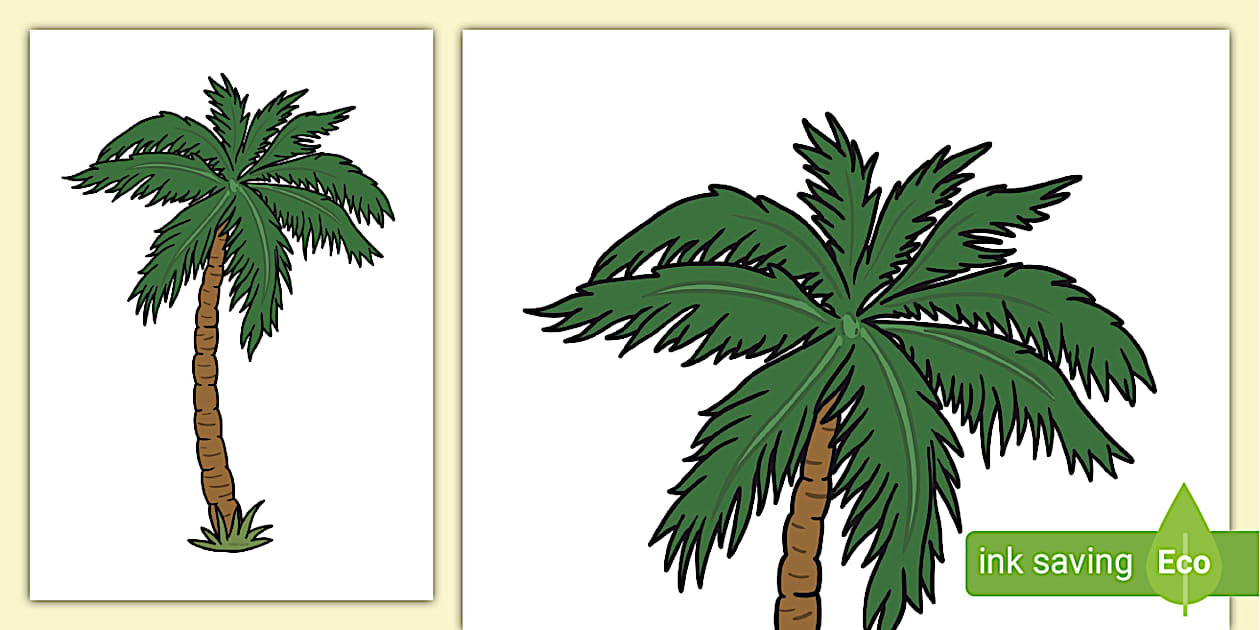 Palm Tree Template | Summer Displays | Twinkl (teacher made)