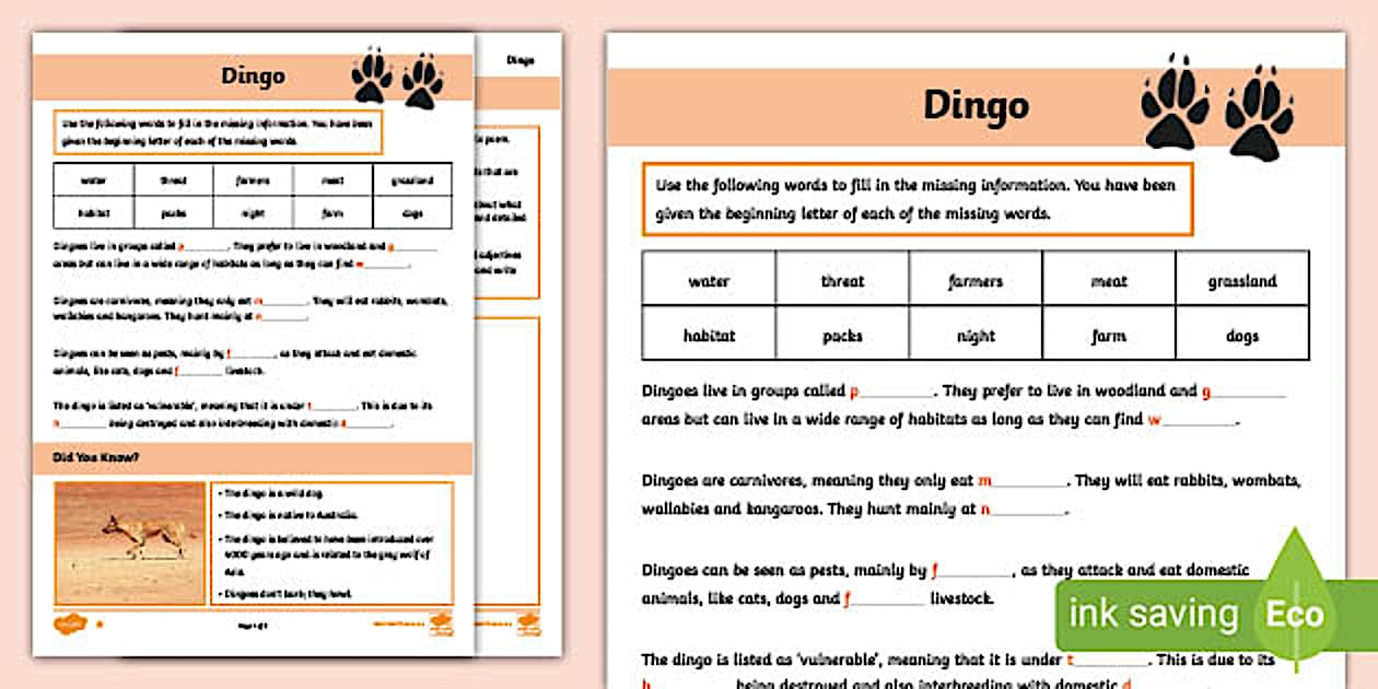 Dingo Differentiated Cloze Passage - Twinkl