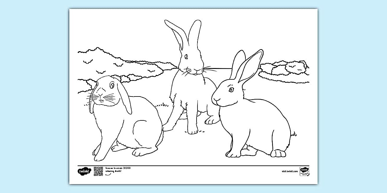 Rabbit Colouring | Colouring Sheets (teacher made) - Twinkl