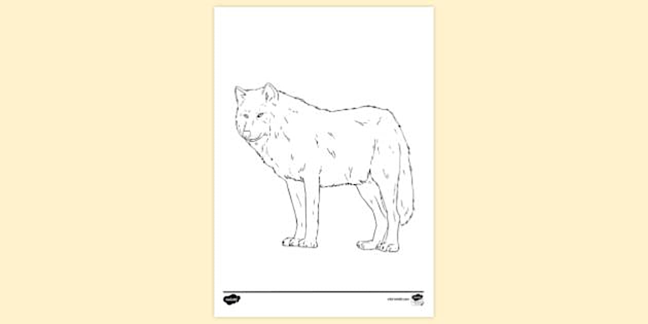Arctic Wolf Colouring Sheet | Colouring Sheets - Twinkl