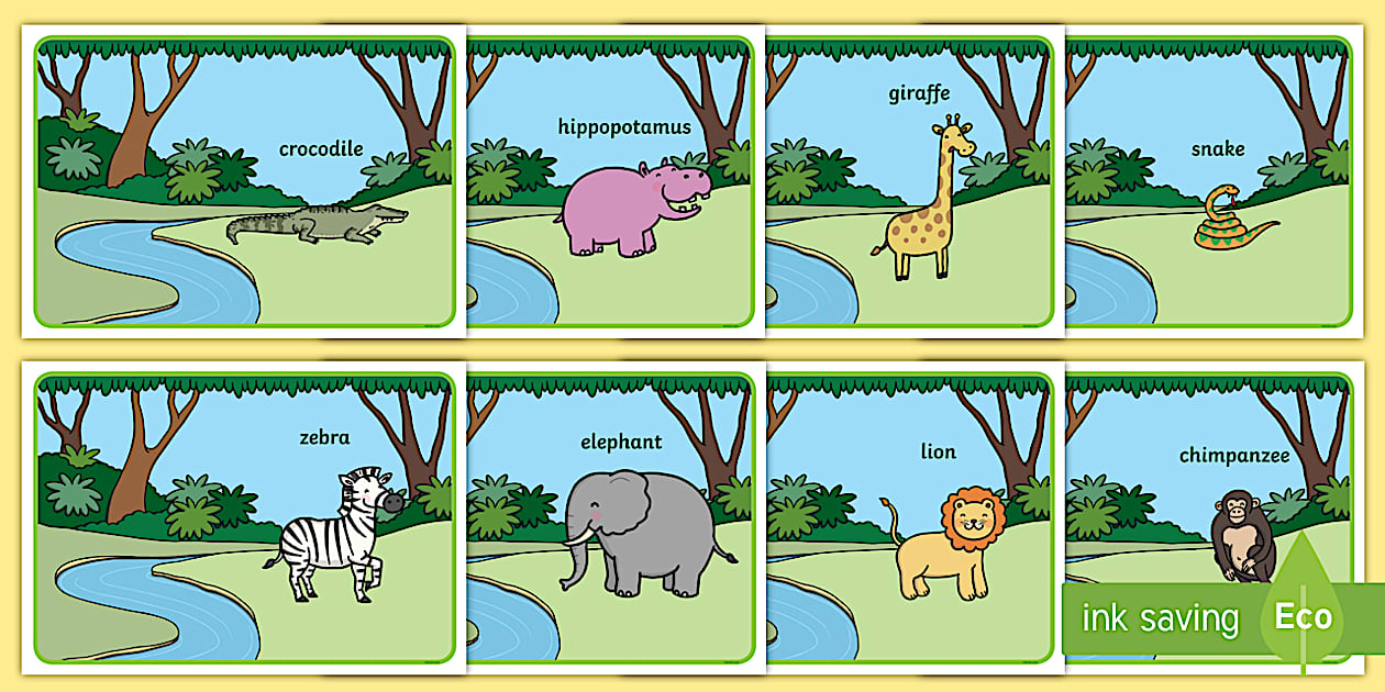 Story Sequencing to Support Teaching on Rumble in the Jungle