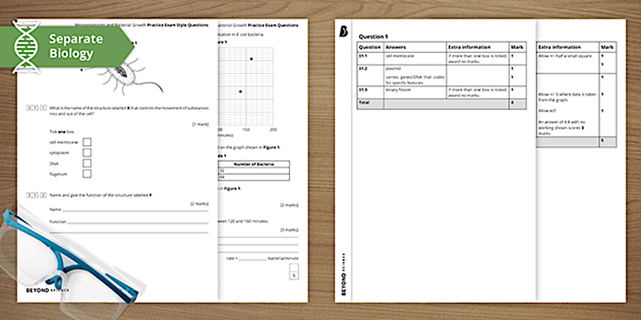 Microorganisms + Bacterial Growth Exam Questions | Beyond