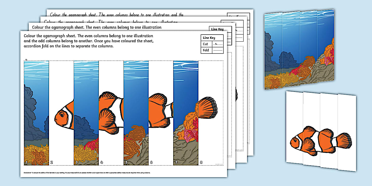 Clown Fish Agamograph (teacher made) - Twinkl