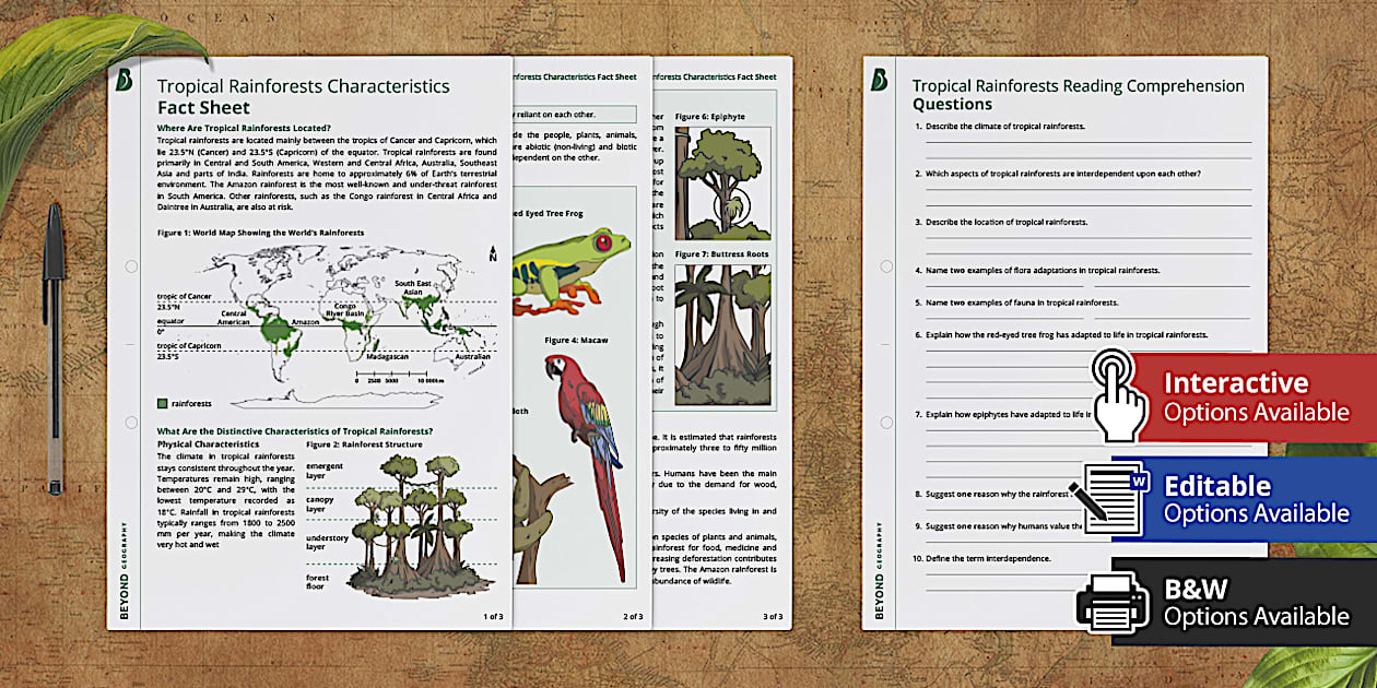 GCSE AQA Tropical Rainforest Reading Comprehension - Twinkl