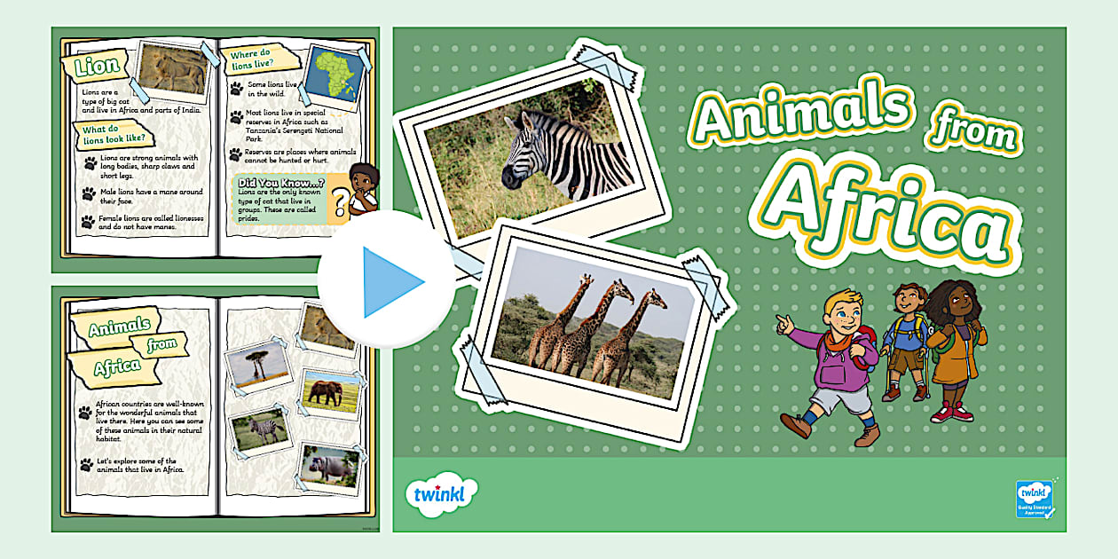 All About Animals from Africa PowerPoint - KS1 - Geography