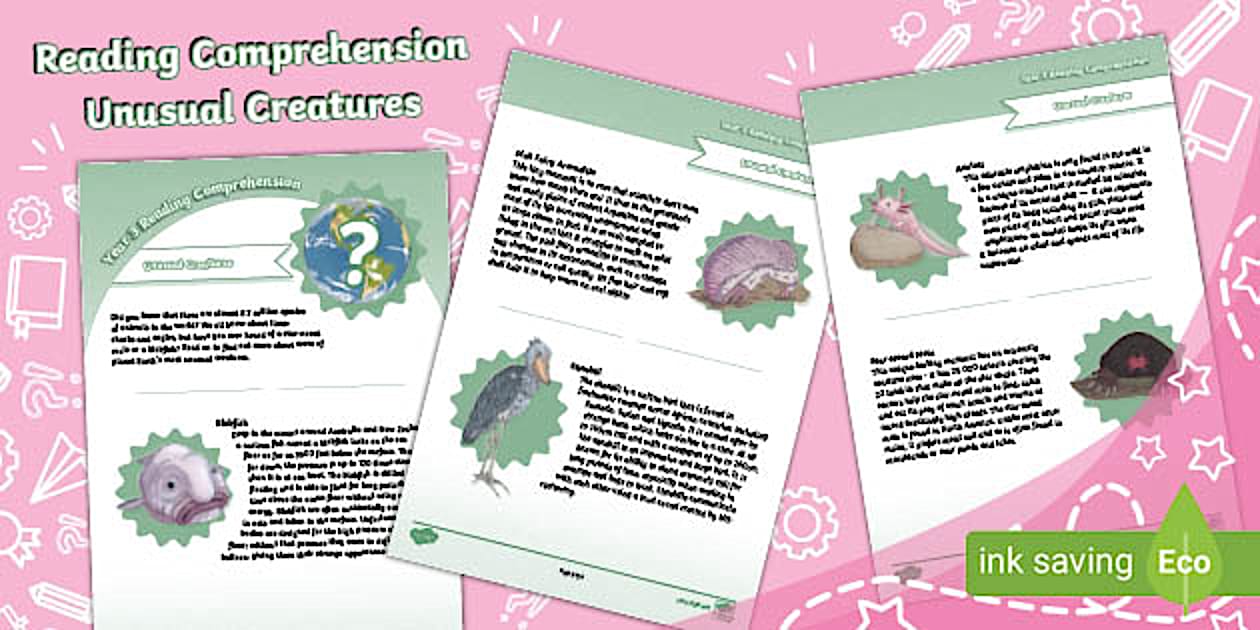 Year 3 Reading Comprehension - Non-Fiction 2 (Ages 7 - 8)