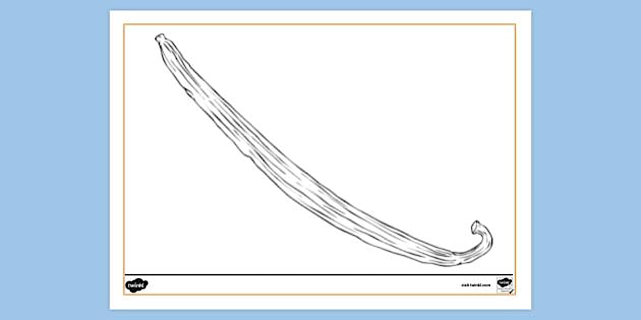 Vanilla Pod Colouring Sheet | Colouring Sheets - Twinkl