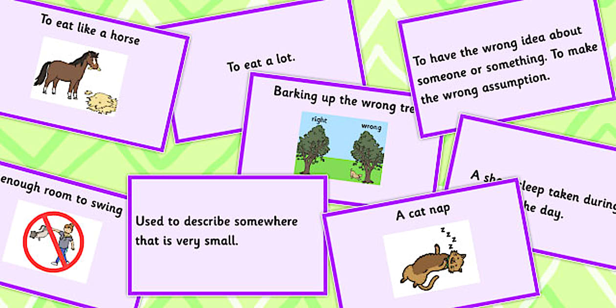 Animal Idioms Matching Cards - Set 3. - Twinkl