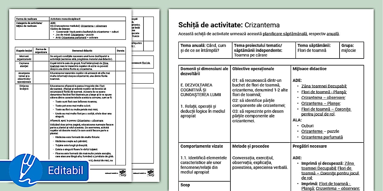 Crizantema – Schiță de activitate grupa mijlocie