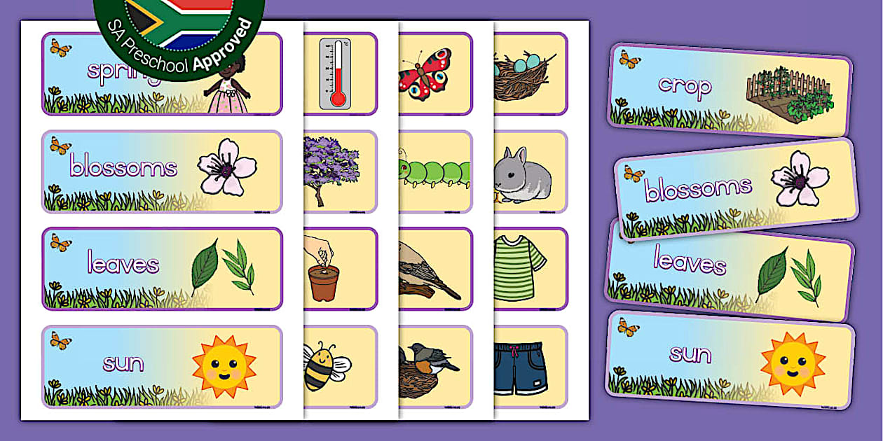 Spring Activities: Word Cards I Resource I Twinkl ZA