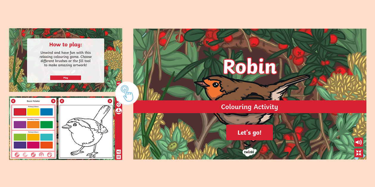 Robin Interactive Colouring (teacher made) - Twinkl