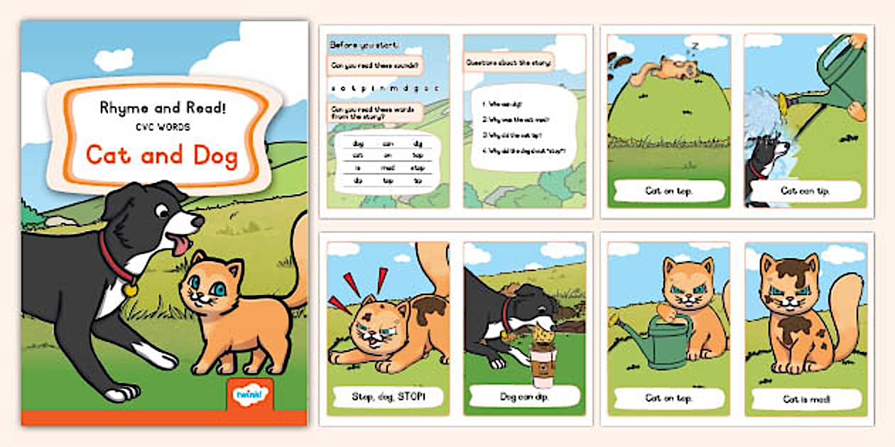 FP Phonics - Decodable Readers - Mini Book: Cat and Dog