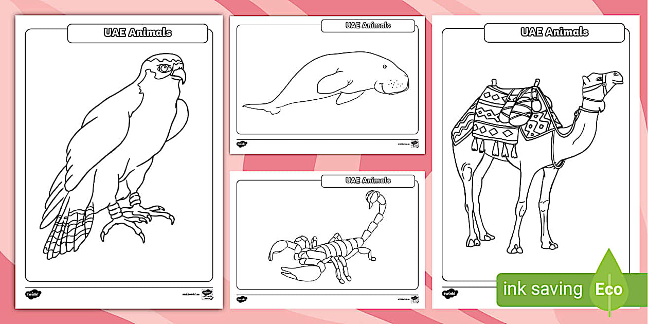 UAE Animals Colouring Sheets (teacher made) - Twinkl