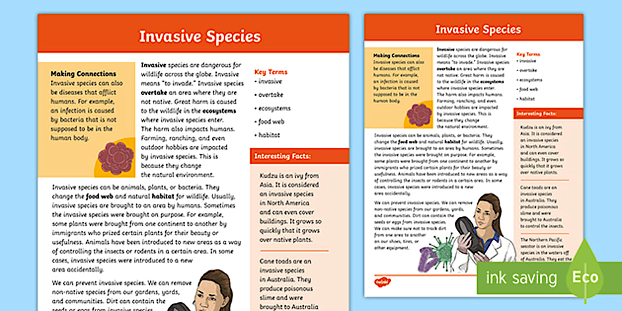 Fourth Grade Invasive Species Fact File (teacher made)