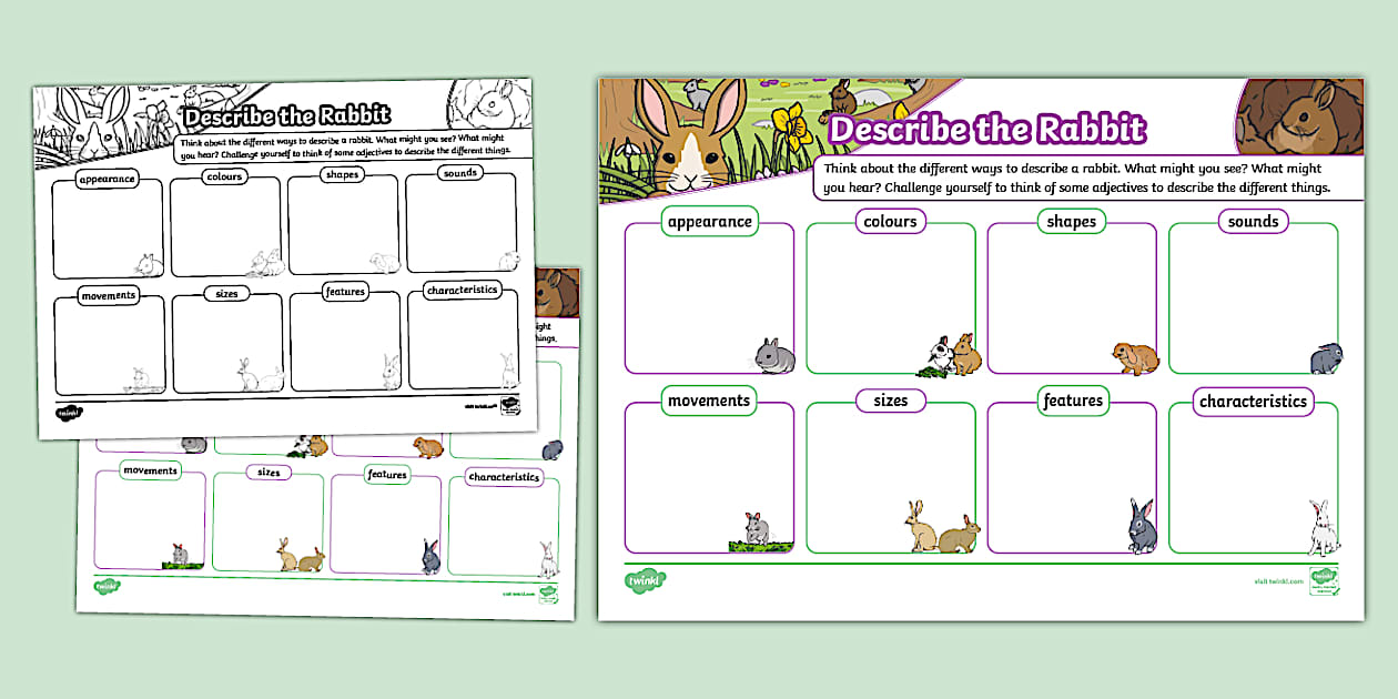 Rabbit Adjectives Worksheet (teacher made) - Twinkl