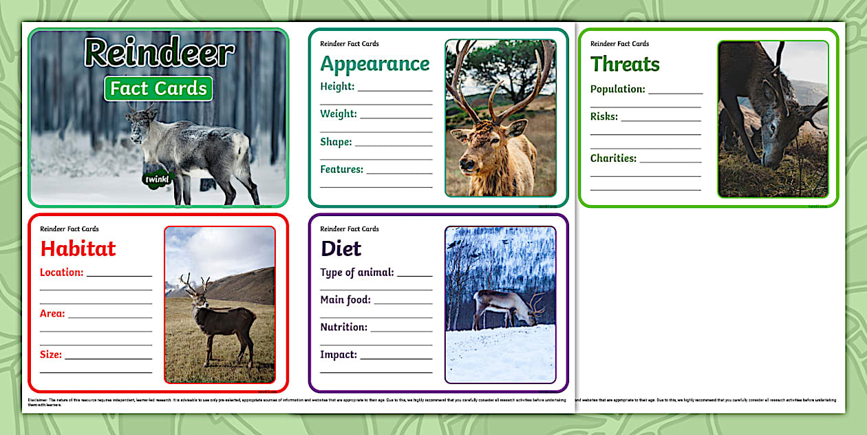 Reindeer Fact Cards Template - Twinkl Ireland (teacher made)