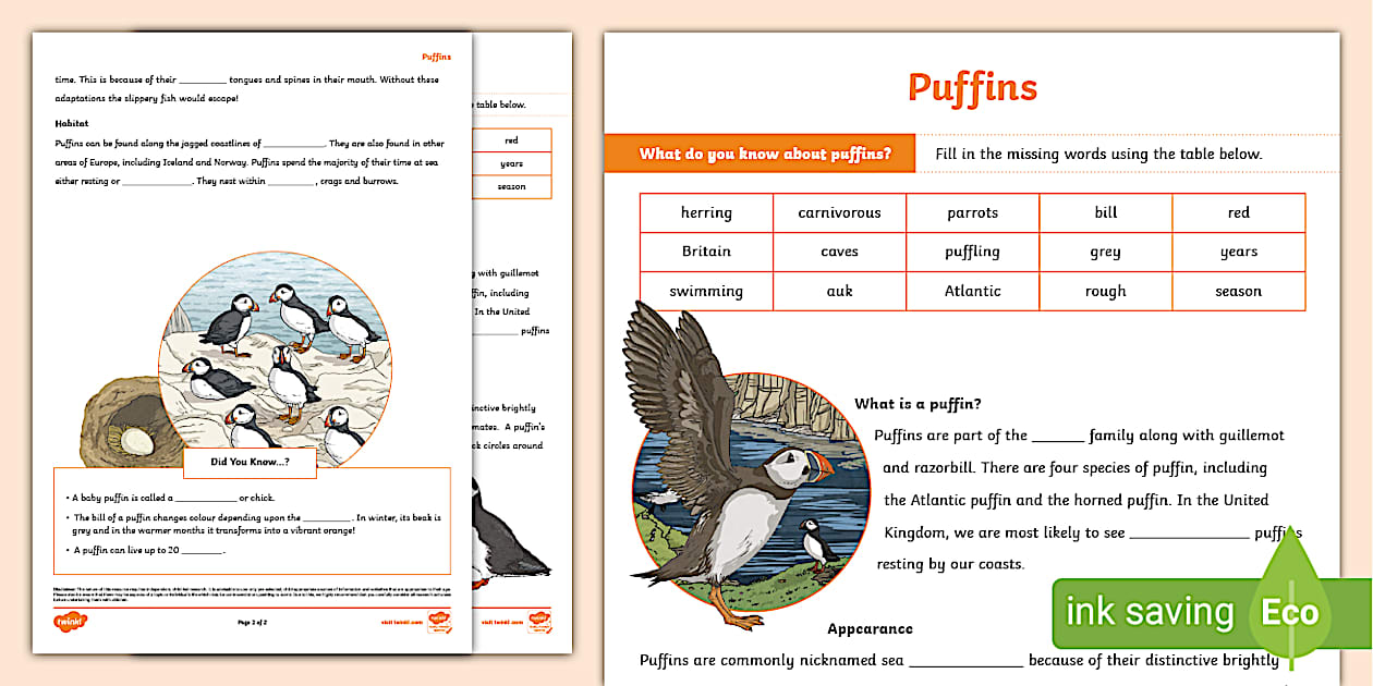 Puffins Cloze Worksheet (teacher made) - Twinkl