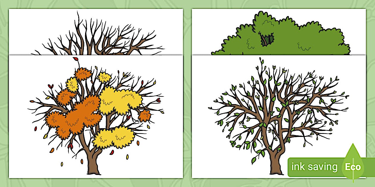 Four Seasons Trees A2 Display Cut-Outs (Teacher-Made)