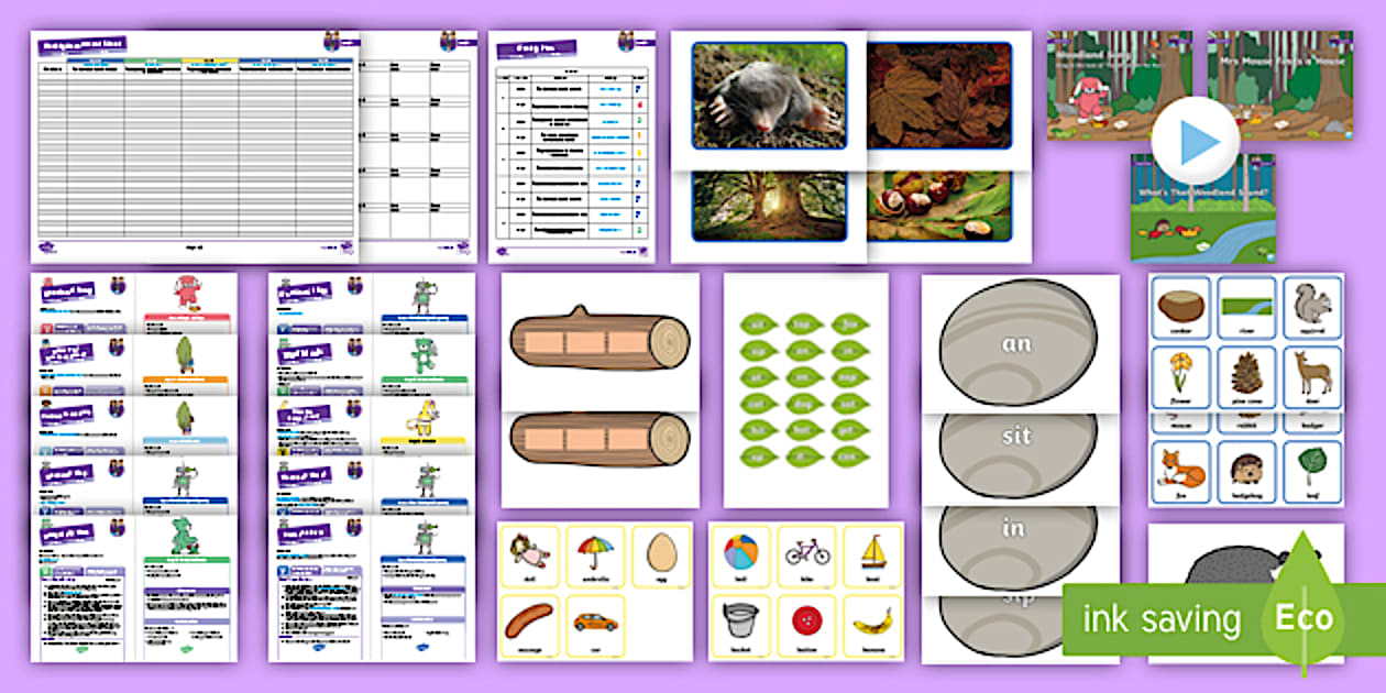 Phonics Level 1 Week 28 - In the Woods (teacher made)