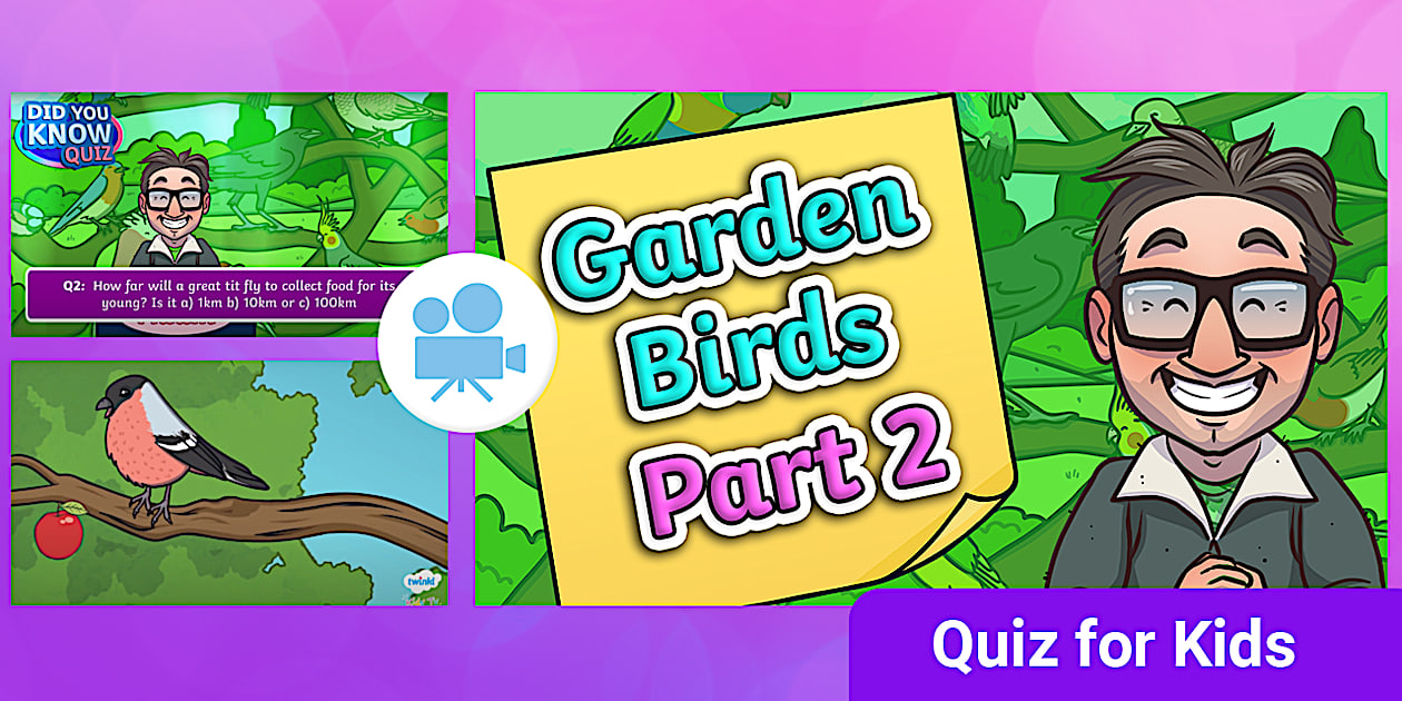 More British Birds Facts Quiz for Kids | Quizzes | Parents