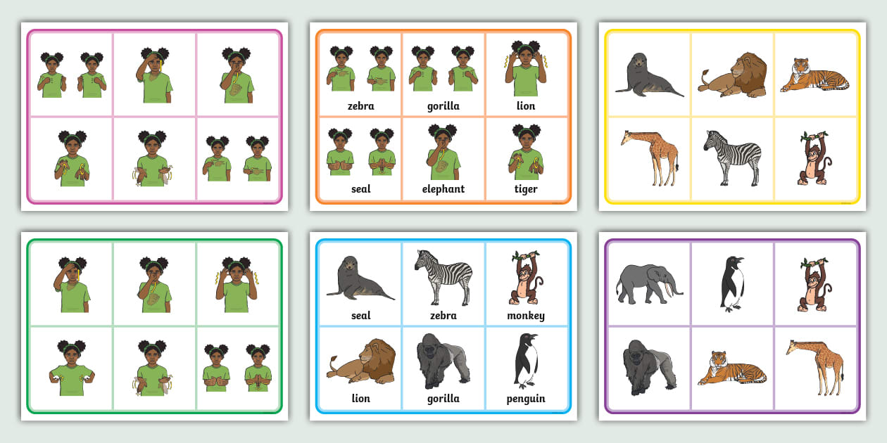 Auslan Zoo Animal Bingo (teacher made) - Twinkl