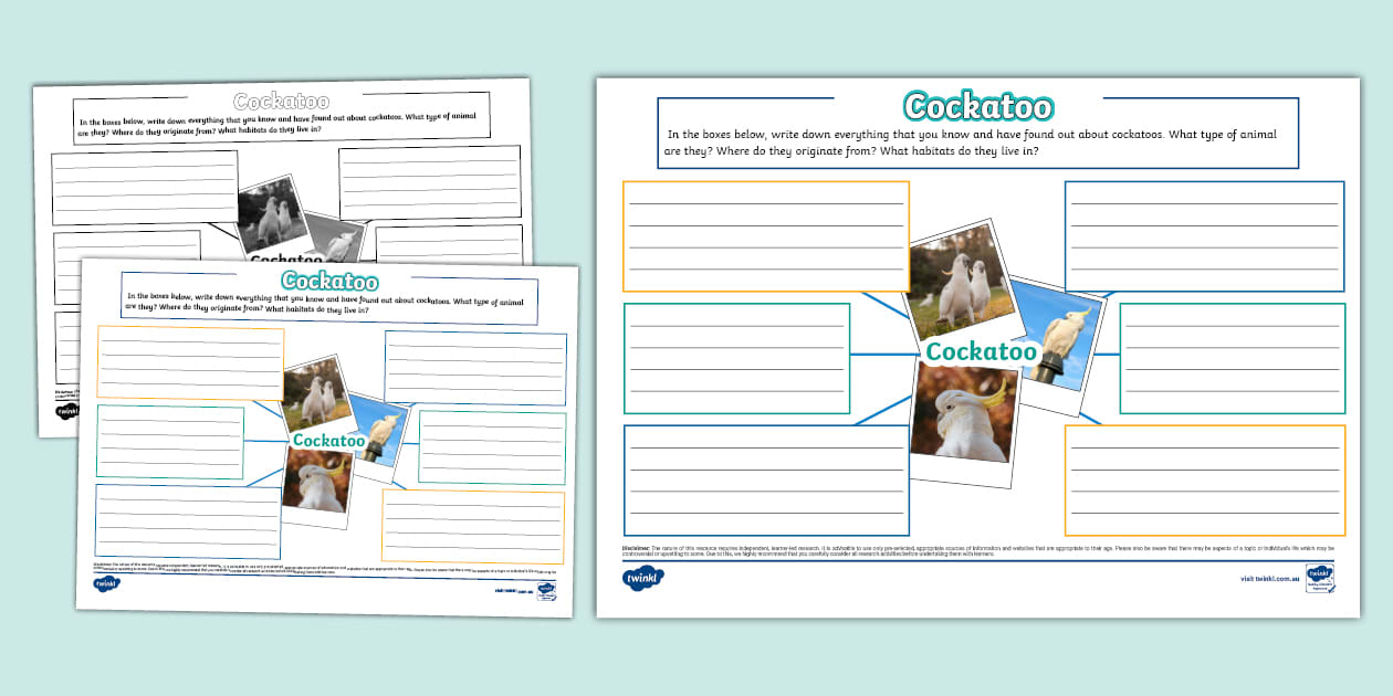 Cockatoo Mind Map (teacher made) - Twinkl