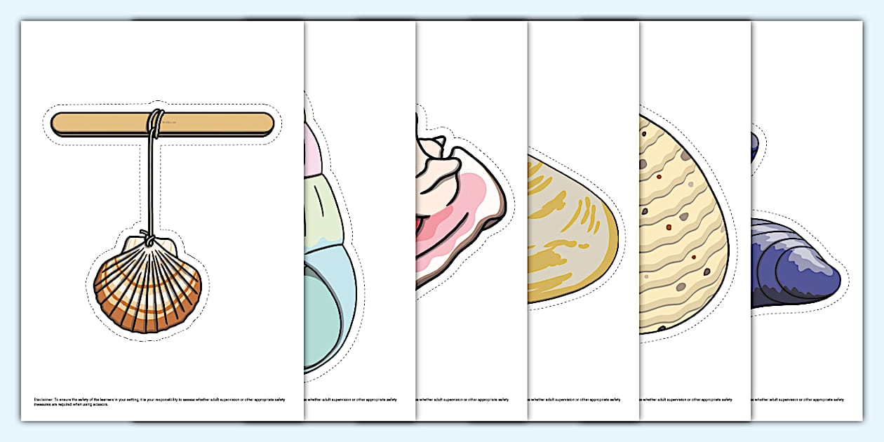 Sea Shell Display Cut-Outs - Twinkl Visual Art
