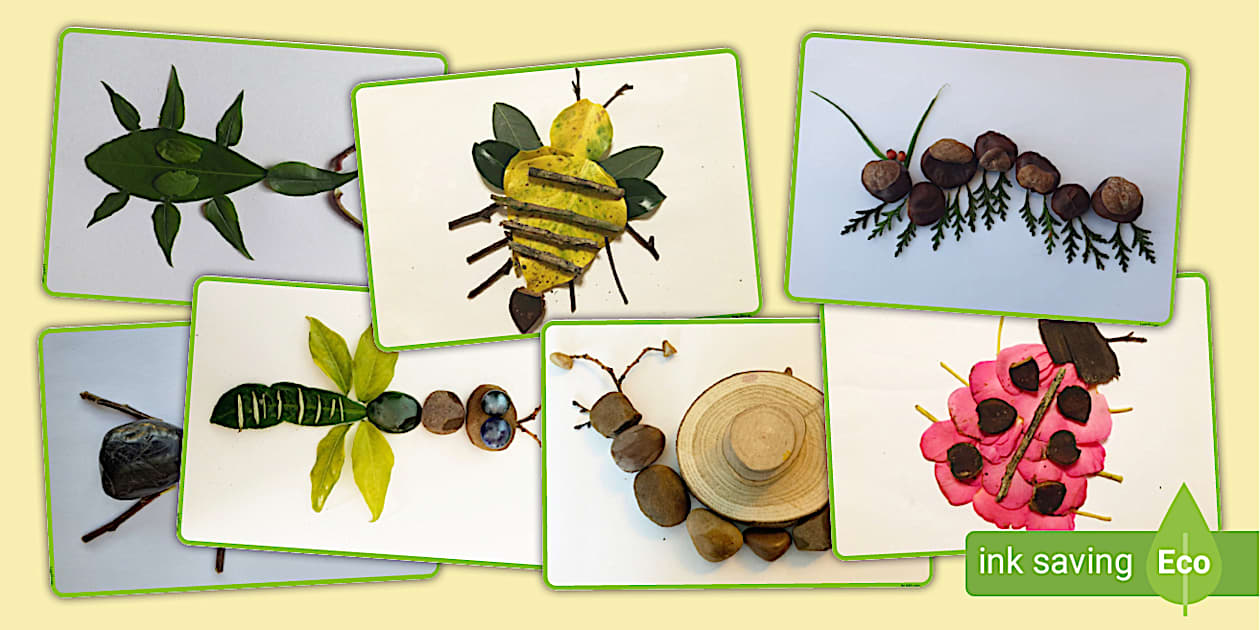 Natural Minibeast Art Photo Pack (teacher made) - Twinkl