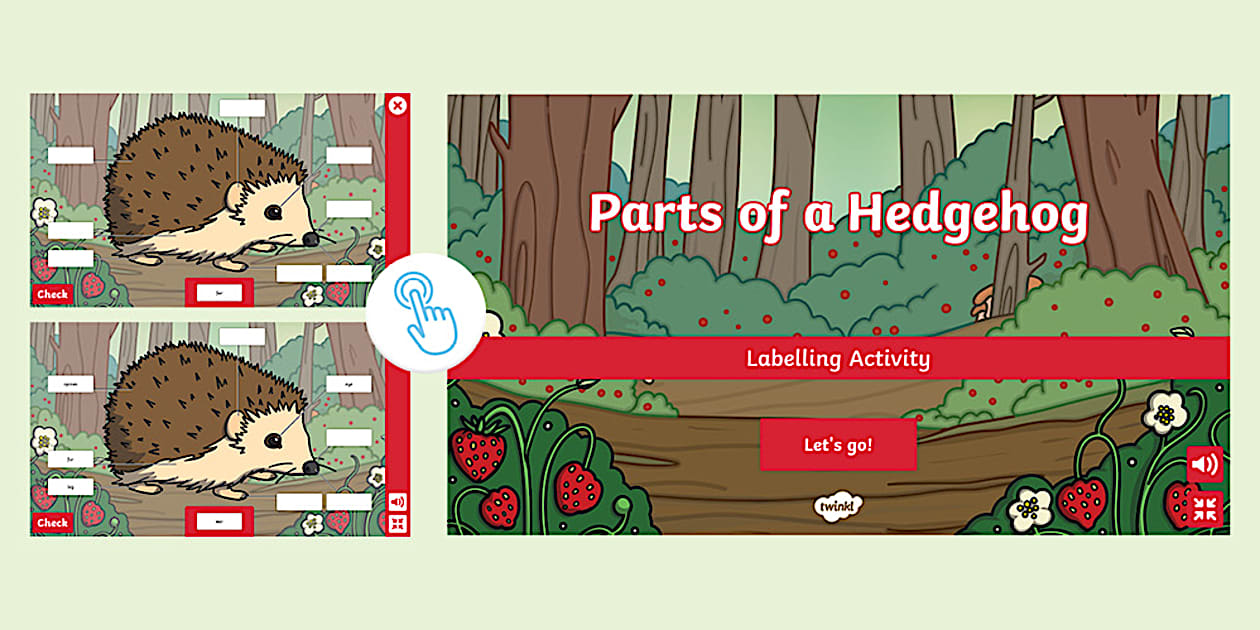 * NEW * Hedgehog Interactive Labelling Activity - Twinkl